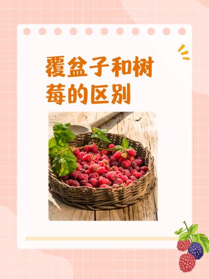 树莓和梨可以一起吃吗图标