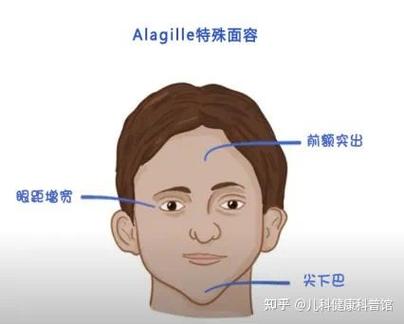 下巴遗传父亲还是母亲图标