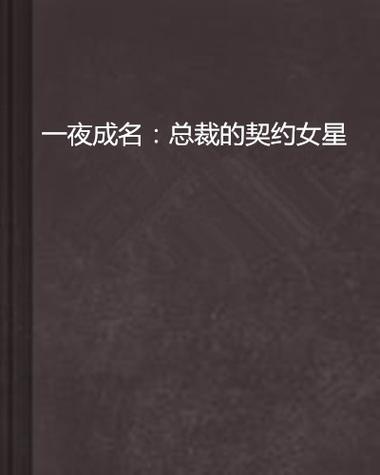 壹夜成名写过哪些小说截图