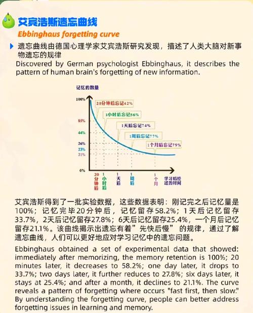 legislative怎么记忆截图