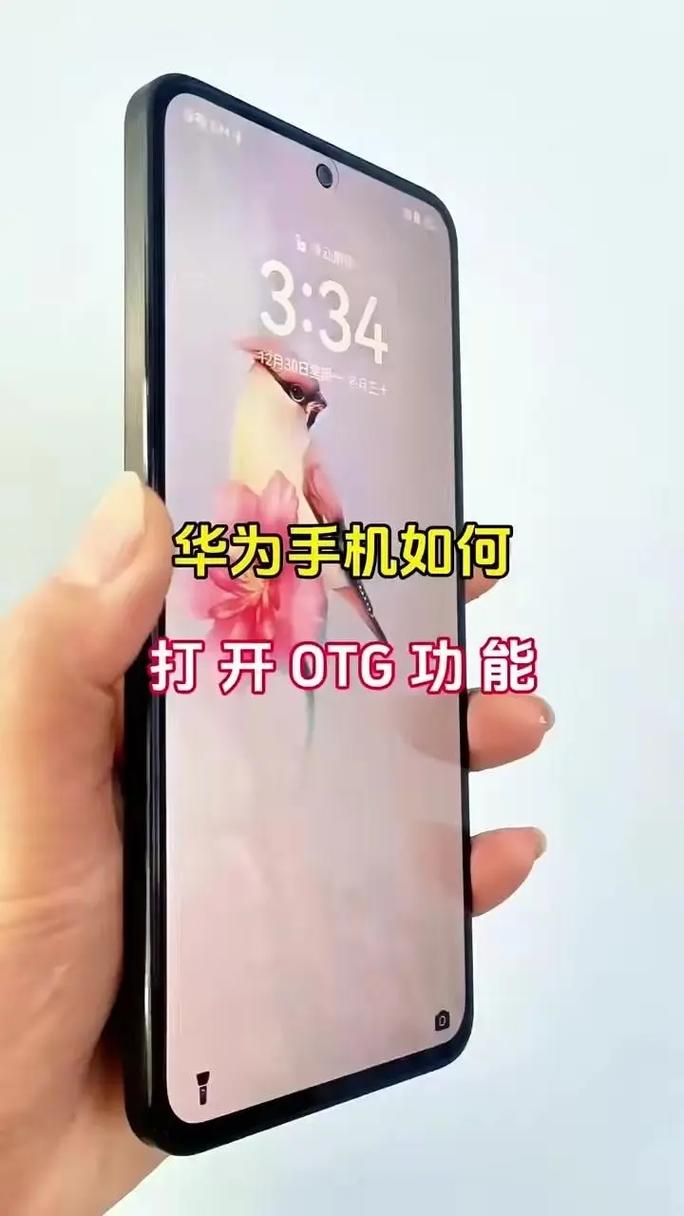 华为p30pro找不到OTG设置图标