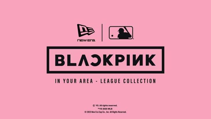 blackpink什么牌子图标