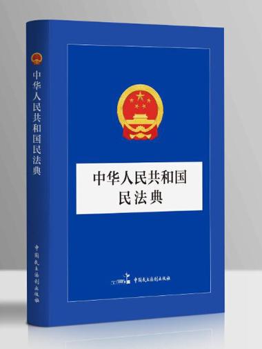 民法典中国人大网截图