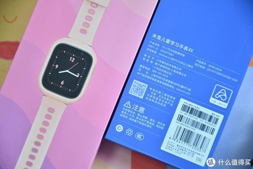 小米手环sn码怎么查图标