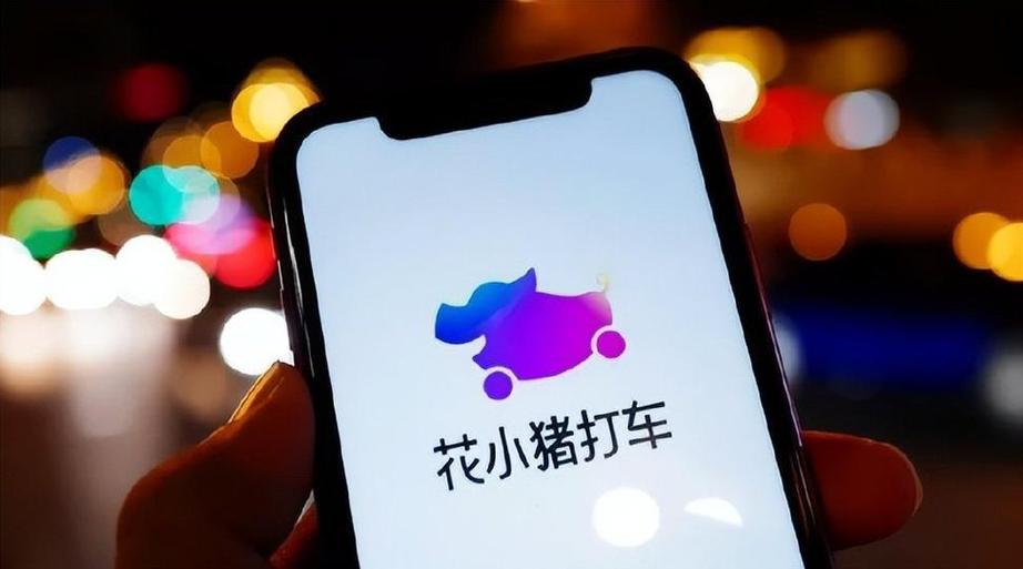 花小猪滴滴车主缩略图