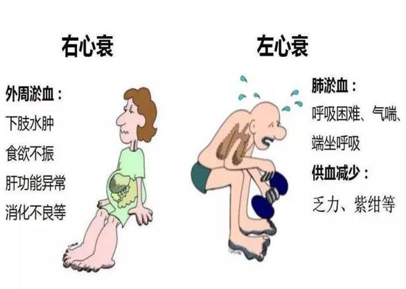 心衰最快的恢复办法图标