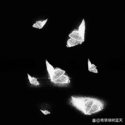 剪映怎么弄黑色背景图标