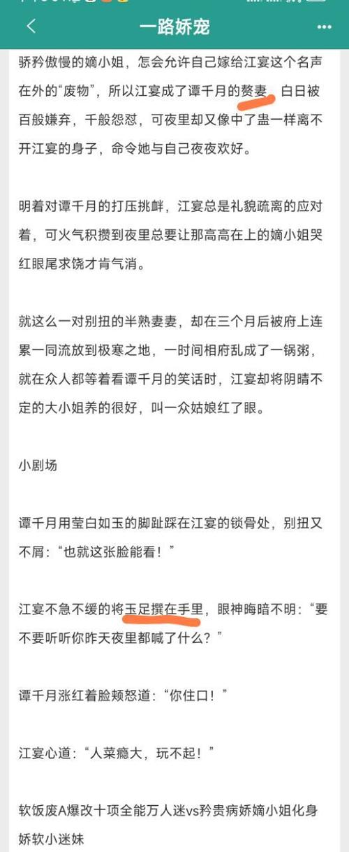 新笔趣阁小说图标