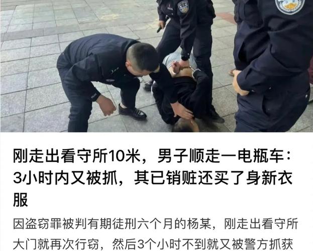 偷十几辆电动车判多久截图