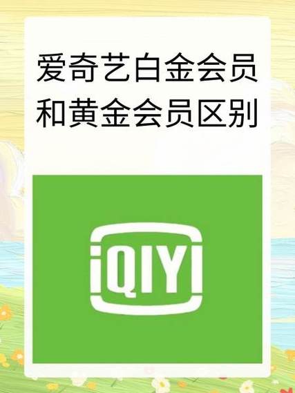 爱奇异极速版与普通版区别
