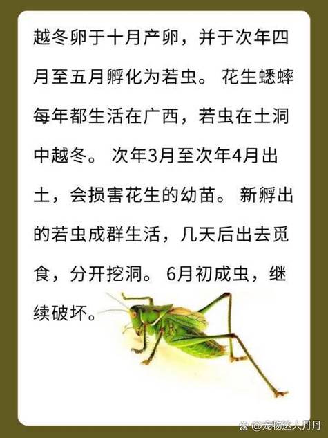 家里发现蛐蛐代表什么截图