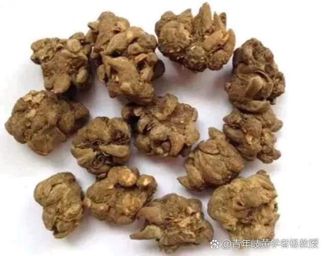 中国药典麦芽功效
