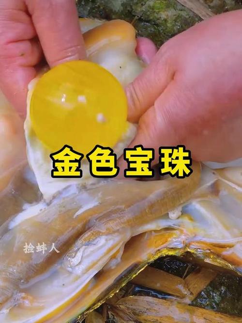 金烷宝珠