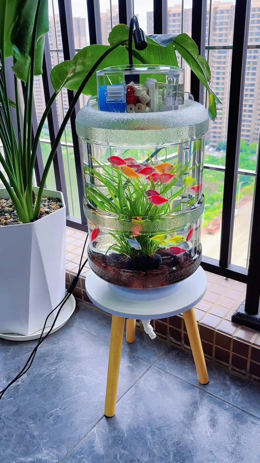 鱼缸鱼屎自动清除方法图标