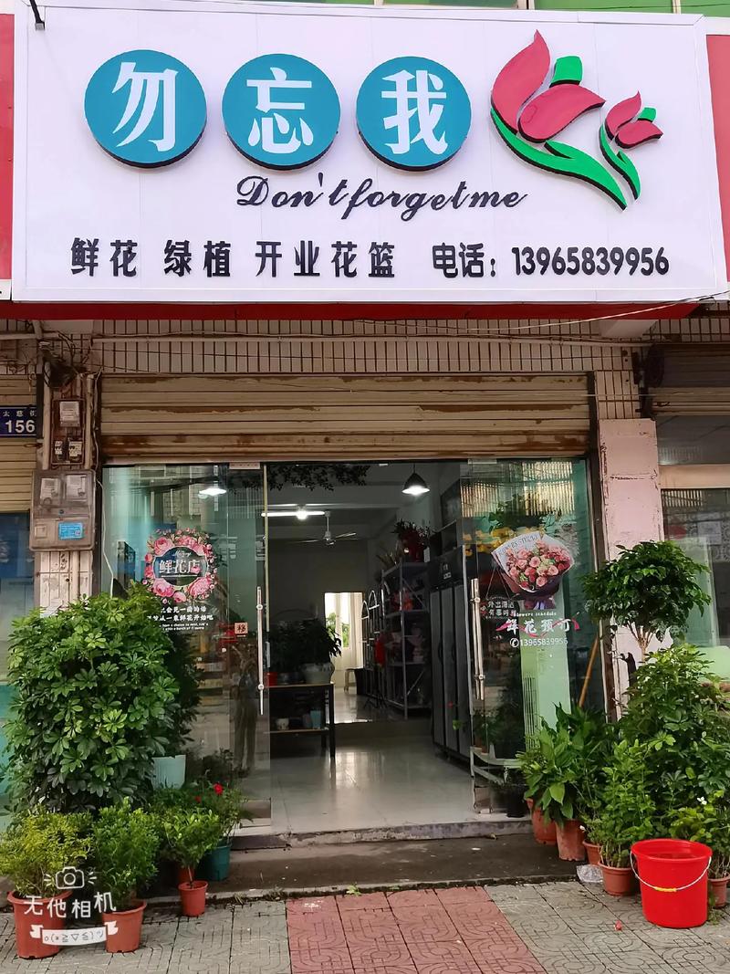 宾县巴黎花店电话号码