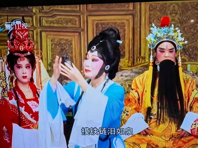 淮剧慈母泪全场图标