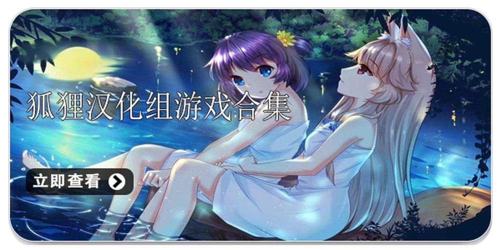 百宝袋汉化组游戏评测图标