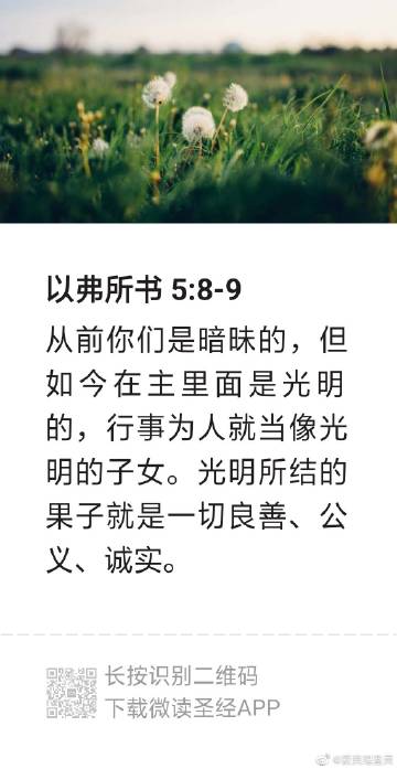 智慧和聪明讲道讲章图标