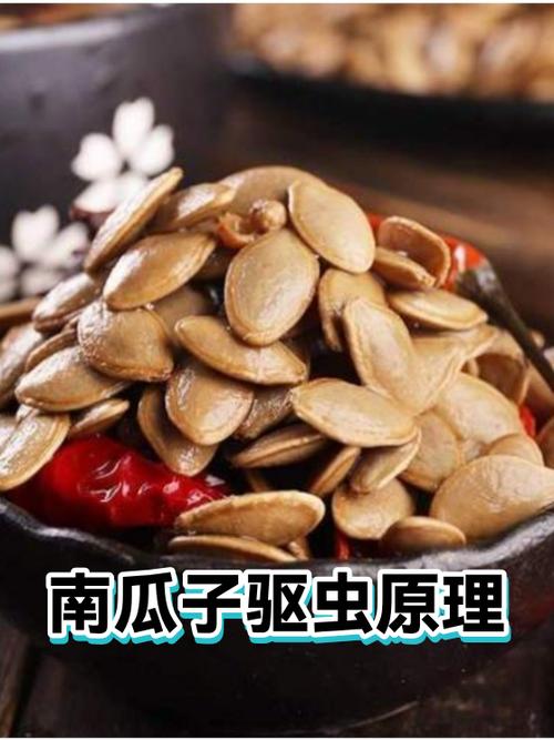 南瓜子属于豆类吗图标