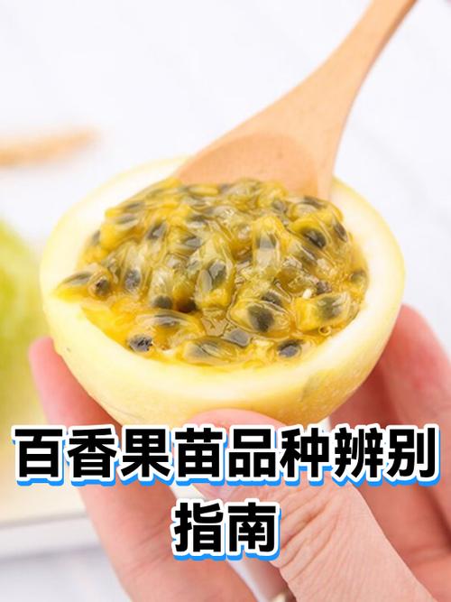 百香果哪个品种最好吃图标