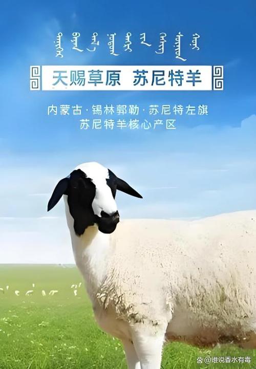 内蒙古十大羊肉品牌图标