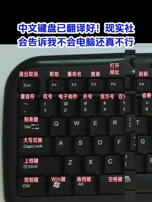 输入法翻译图标