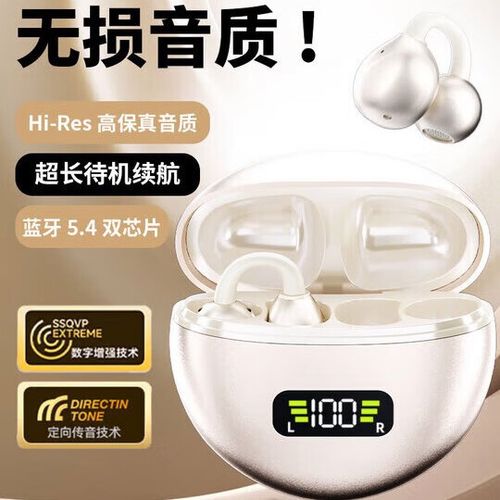 小米蓝牙耳机来电报姓名图标