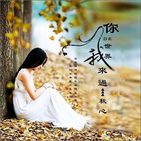 你的世界你来过原唱是谁图标