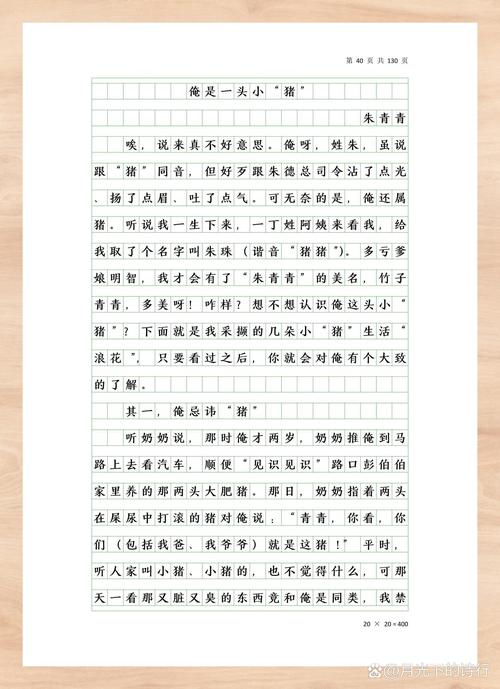 养猪日记100字图标