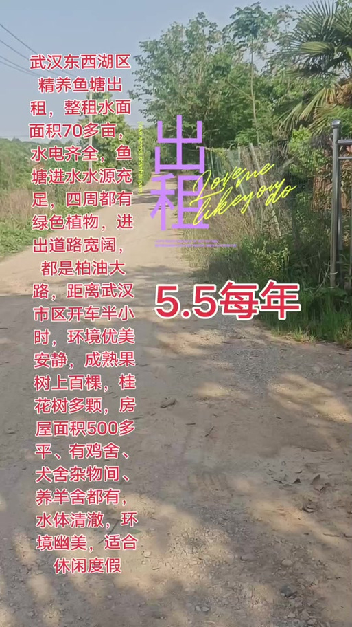 鱼塘招租简短文字