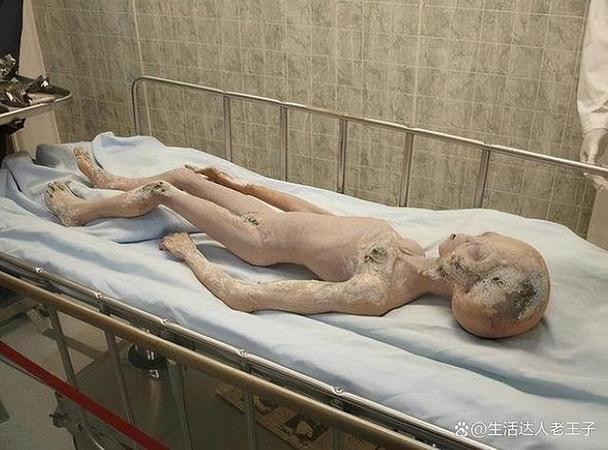雅典和斯巴达谁先灭亡图标