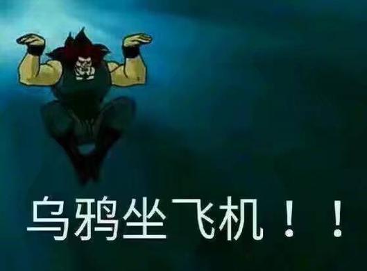 乌鸦坐飞机比喻什么意思图标