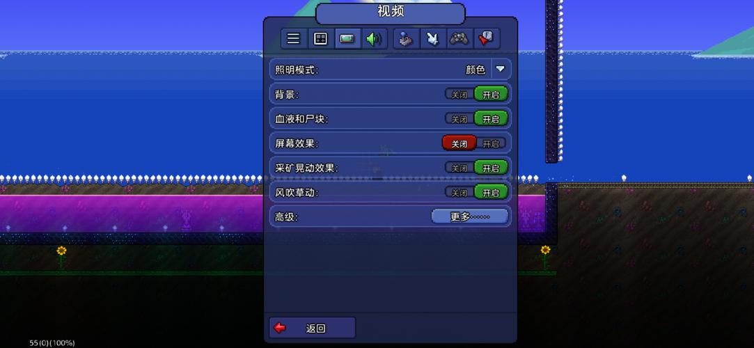 泰拉瑞亚pc视野范围怎么调大截图