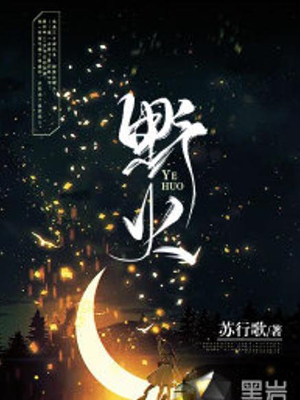 野火小说阅读图标
