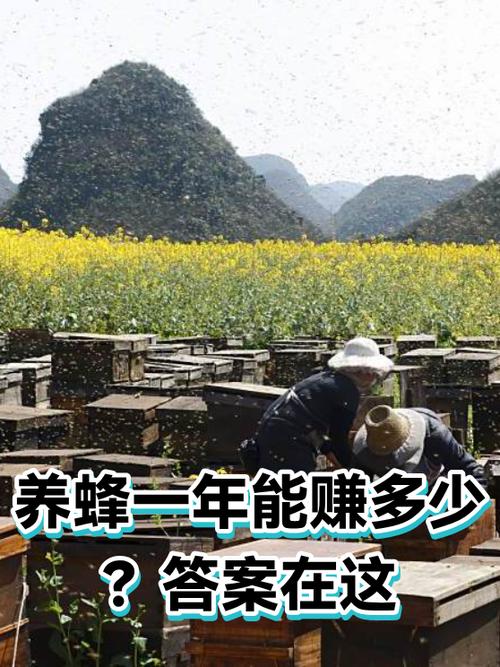 蜂赚真的可以赚钱吗图标
