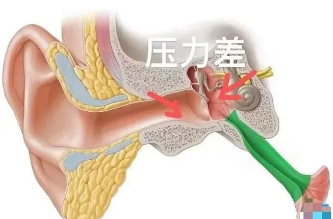 耳朵突然像隔了一层膜,闷闷的怎么办图标