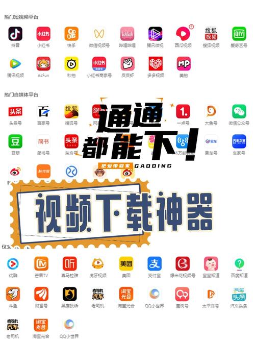 云豆直播平台截图