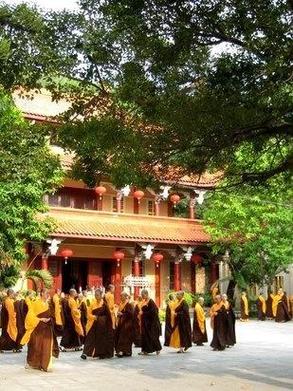 山西紫竹林寺图标