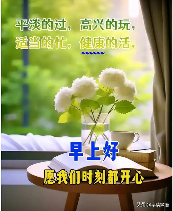 每天每日图标