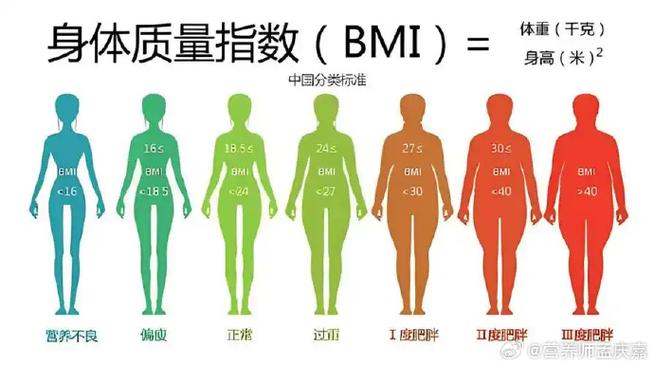 健康的体质决定健康的体型图标