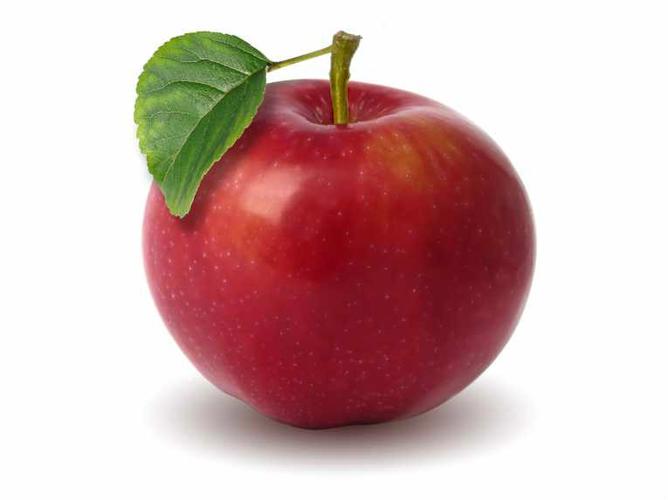 apple是什么意思