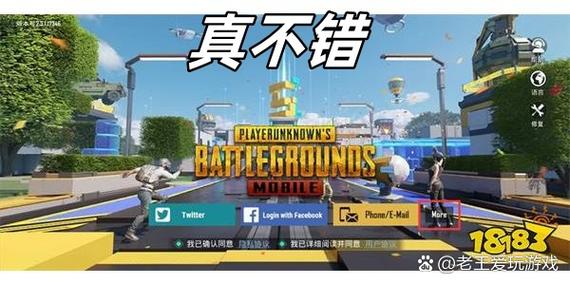 pubg隐藏id图标