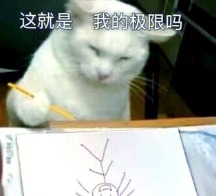 我的社交极限到了表情包截图