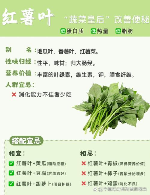 地瓜能天天吃吗截图