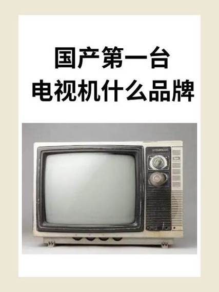 国产十大名牌电视图标