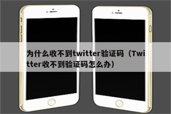twitter收不到邮箱验证码截图