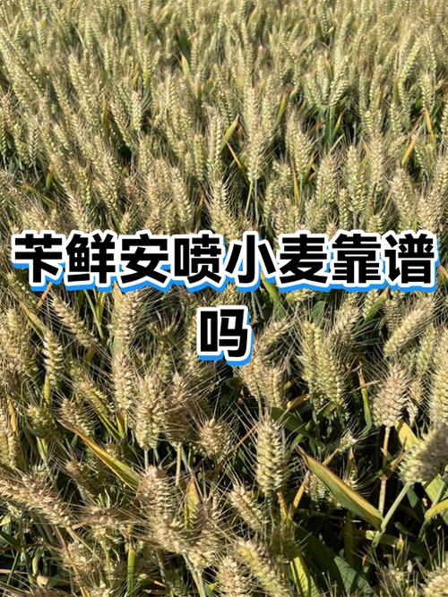 苄的俗称叫什么图标
