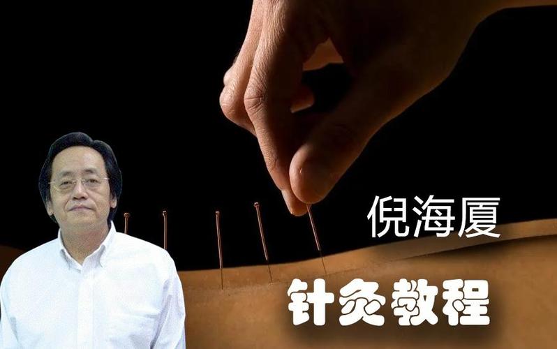 倪海厦针灸视频83截图
