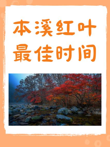 枫叶是什么平台