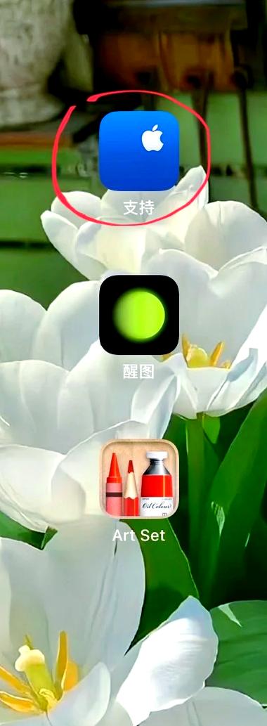 ipad电池健康度怎么查询图标